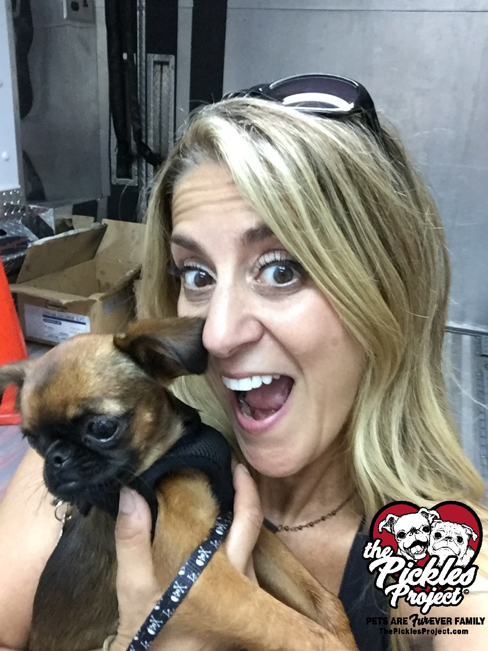 Yes, Pet Owners are Parents. Here's Why - The Pickles Project